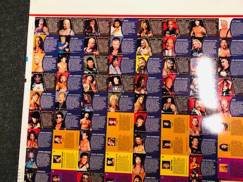 Wrestling WCW rare uncut cards sheet 1995 – Fastball Collectibles